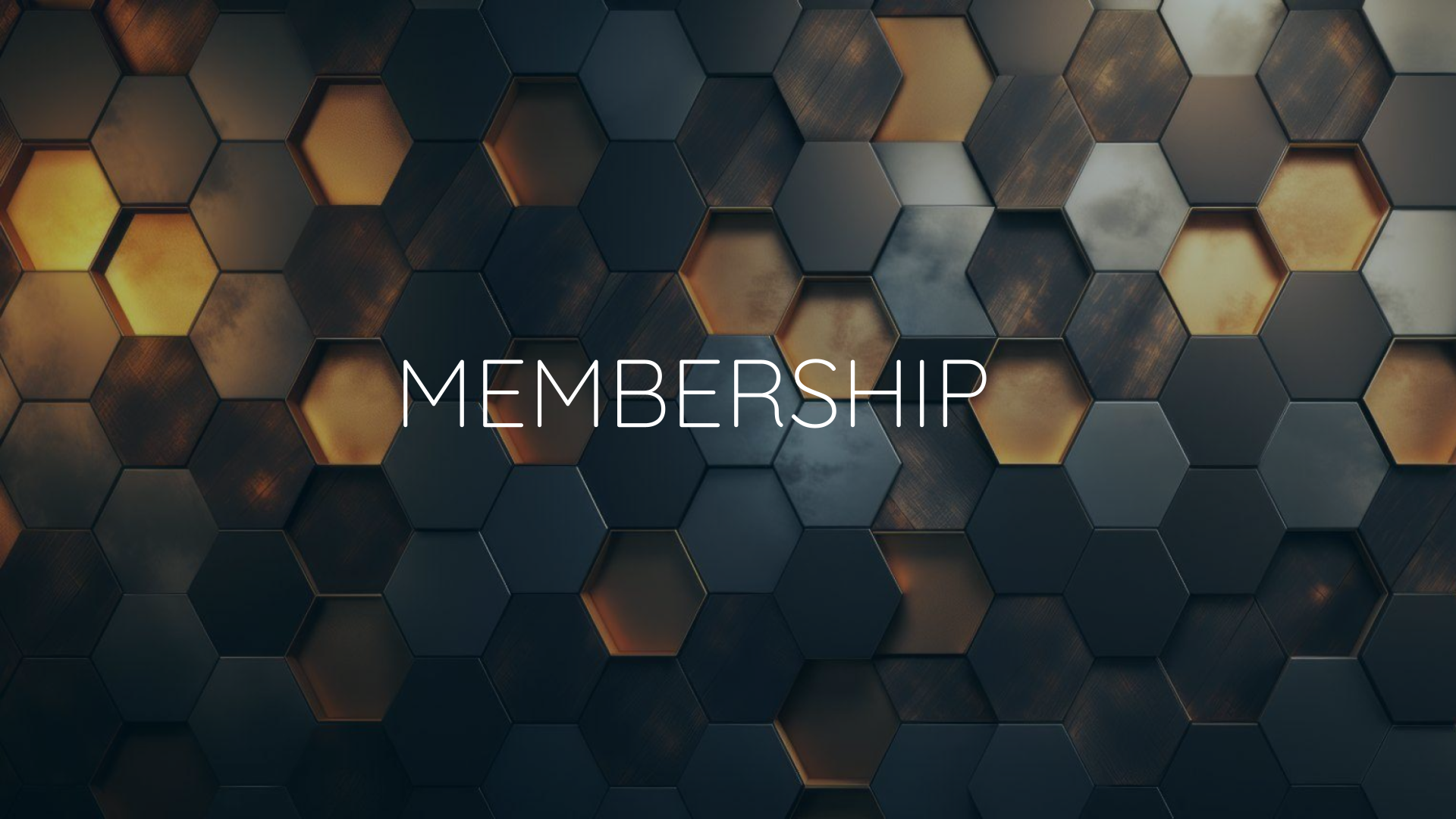 Worth Collective - Membership Interest